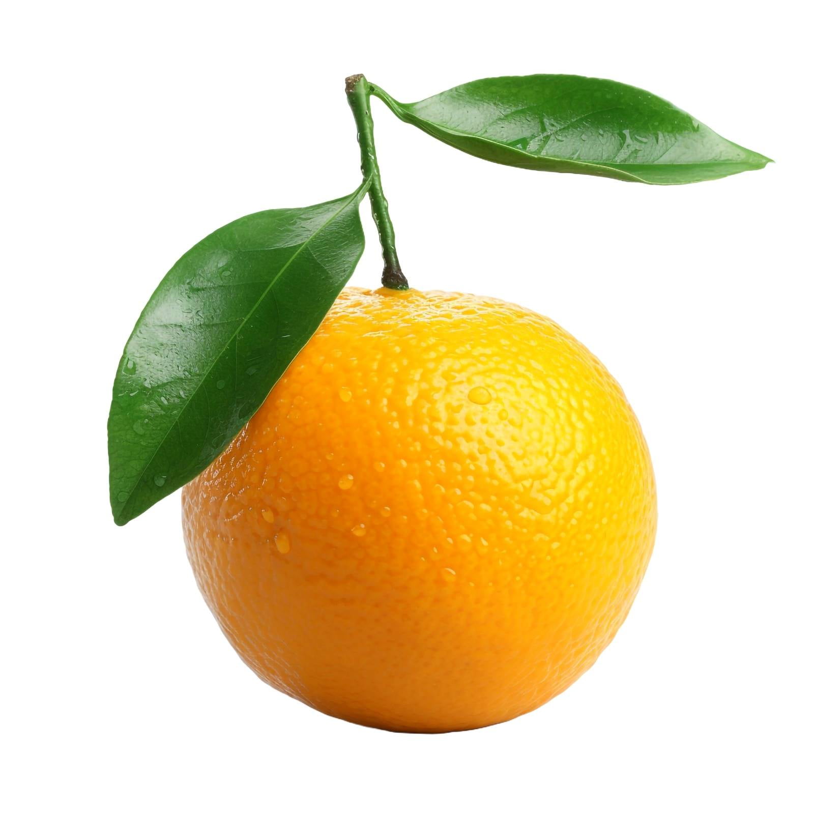 Dolce Frutti Temple Oranges Gift Box | 14 lbs | Fresh, Juicy, and ...