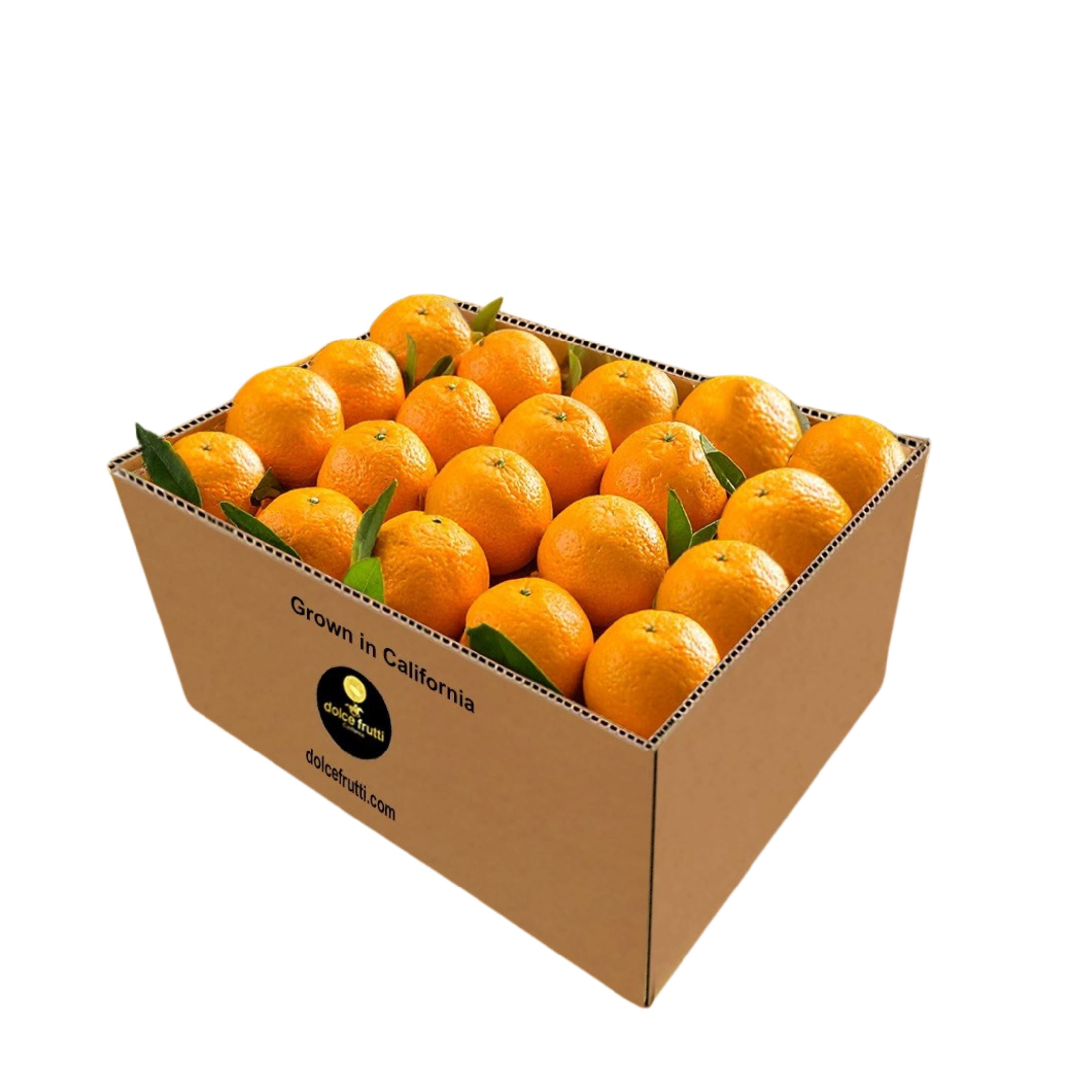 Dolce Frutti Temple Oranges Gift Box | 14 lbs | Fresh, Juicy, and ...