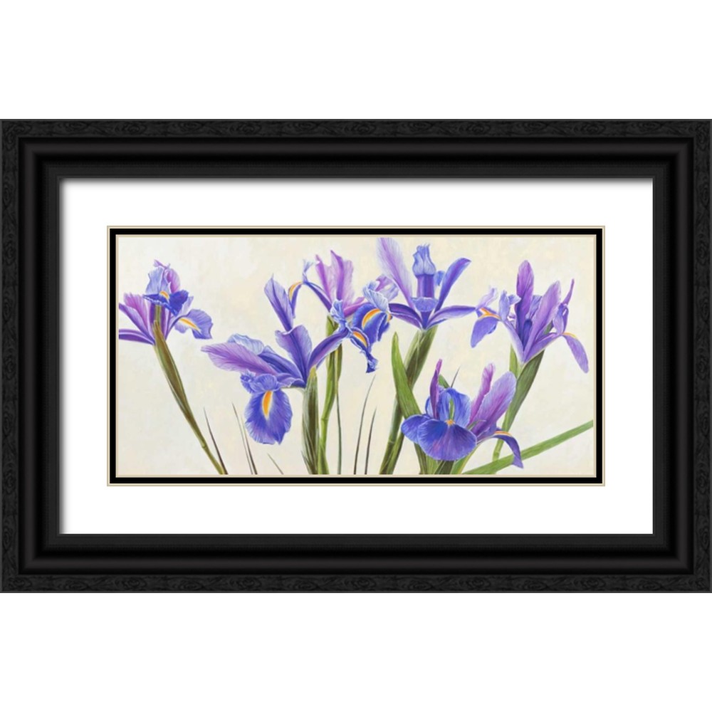 Dolci, Elena 18x11 Black Ornate Wood Framed with Double Matting Museum ...