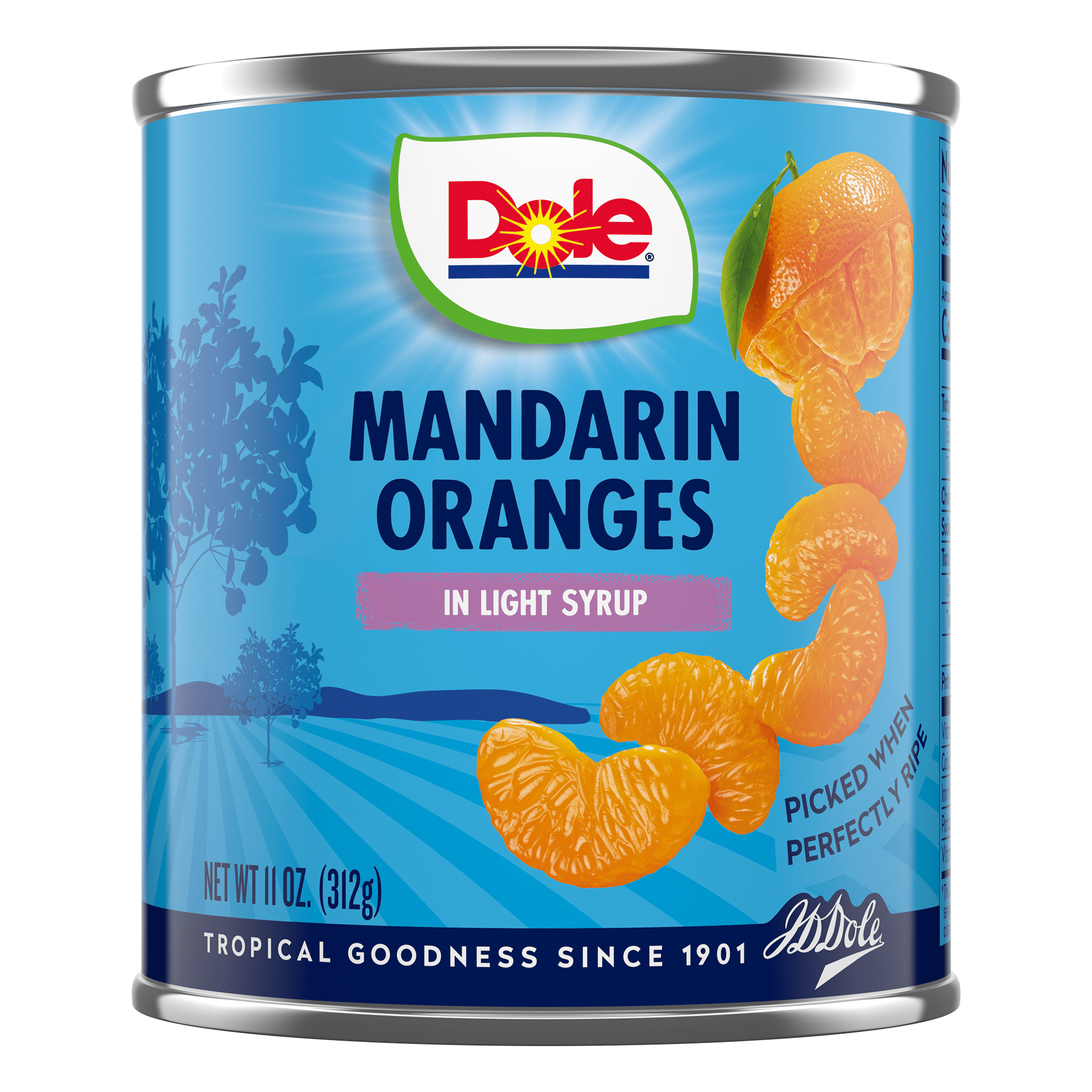 Dole Mandarin Oranges in Light Syrup, 11 oz Can - Walmart Business Supplies