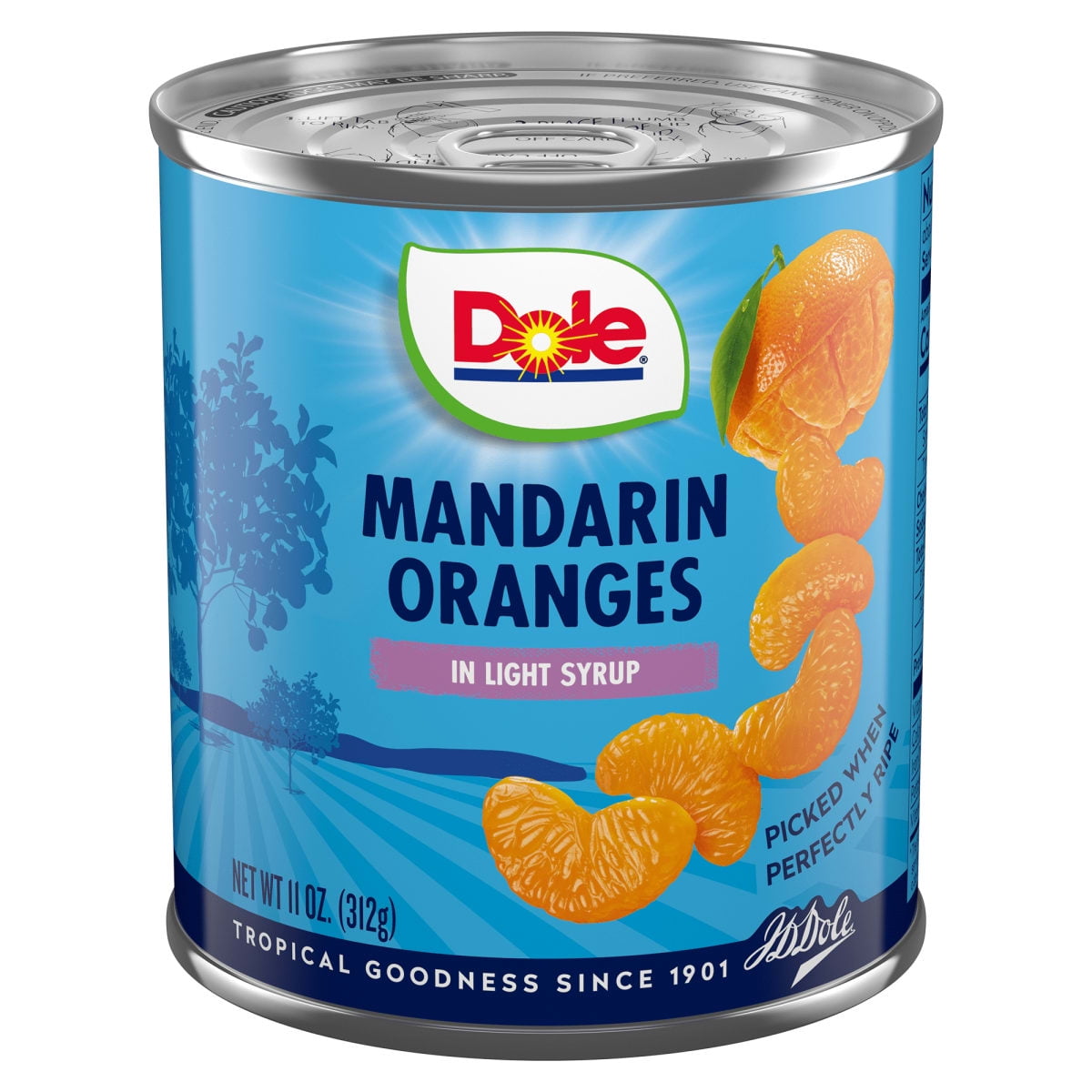 Dole Mandarin Orange Fruit Slices in Light Sugar Syrup, 11 oz Can ...