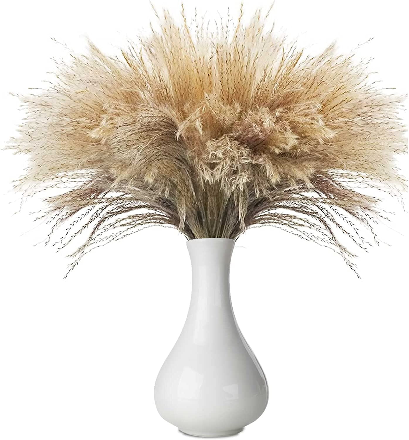 Dolicer 50 Pcs Dried Pampas Grass Dried Flowers Artificial Flowers Boho Decor 17 Fluffy