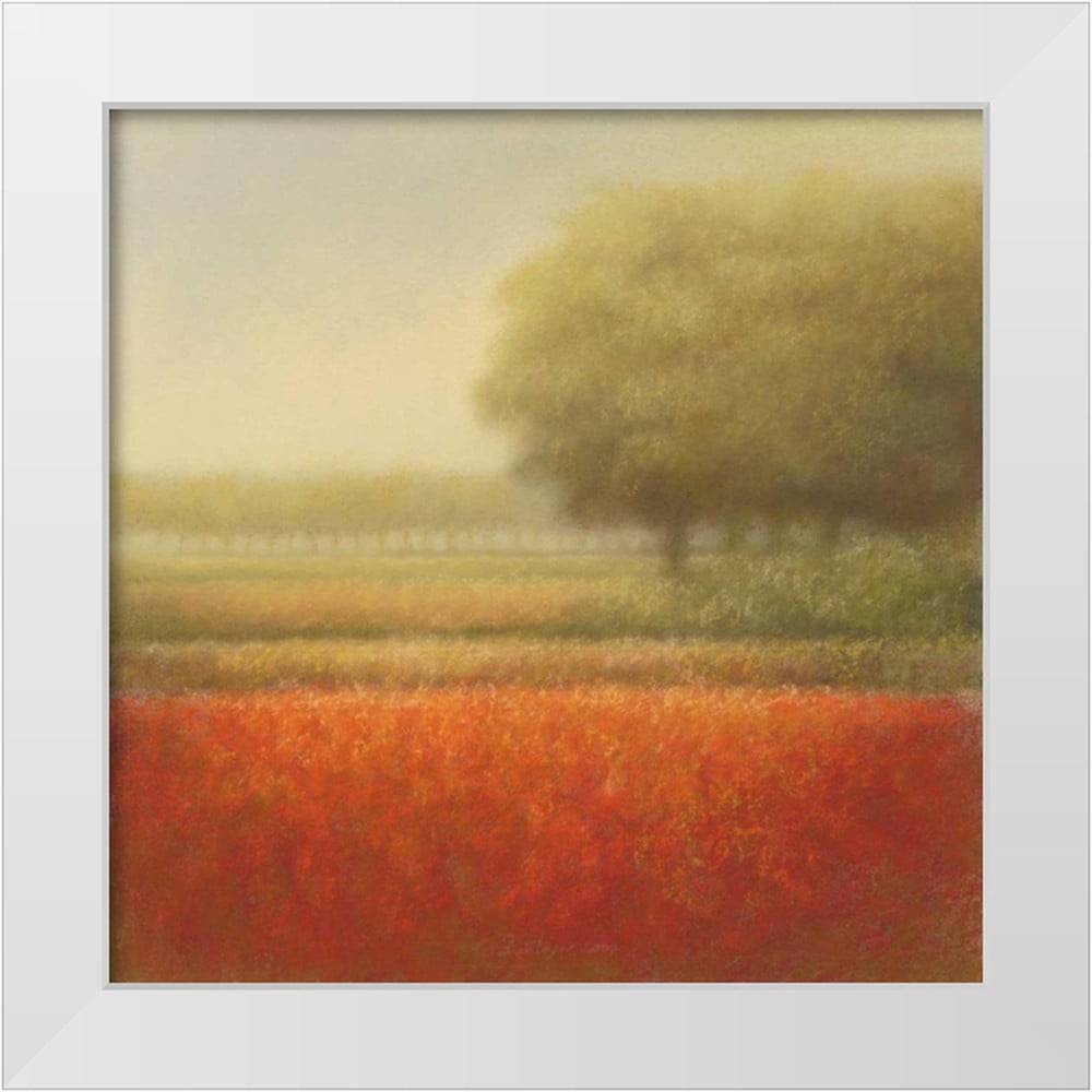 Dolieslager, Hans 20x20 White Modern Wood Framed Museum Art Print ...