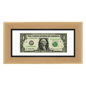 Dollar Bill Frame