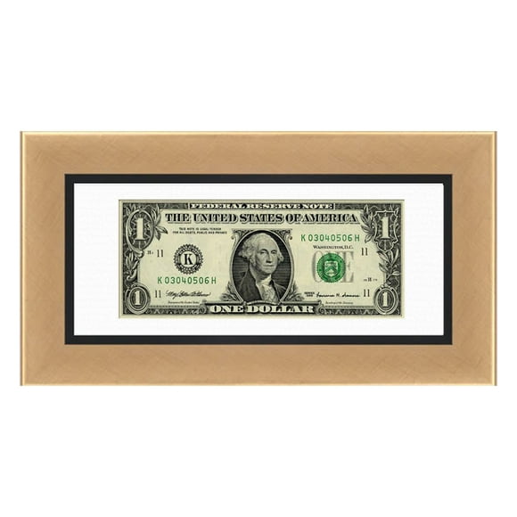 Dollar Bill Frame