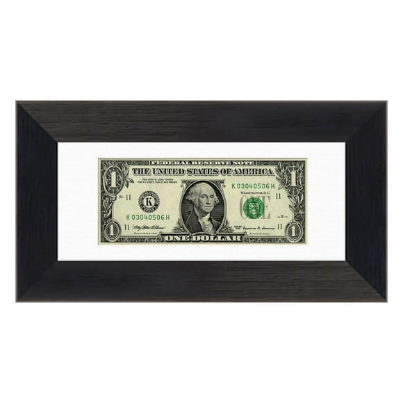 Dollar Bill Frame