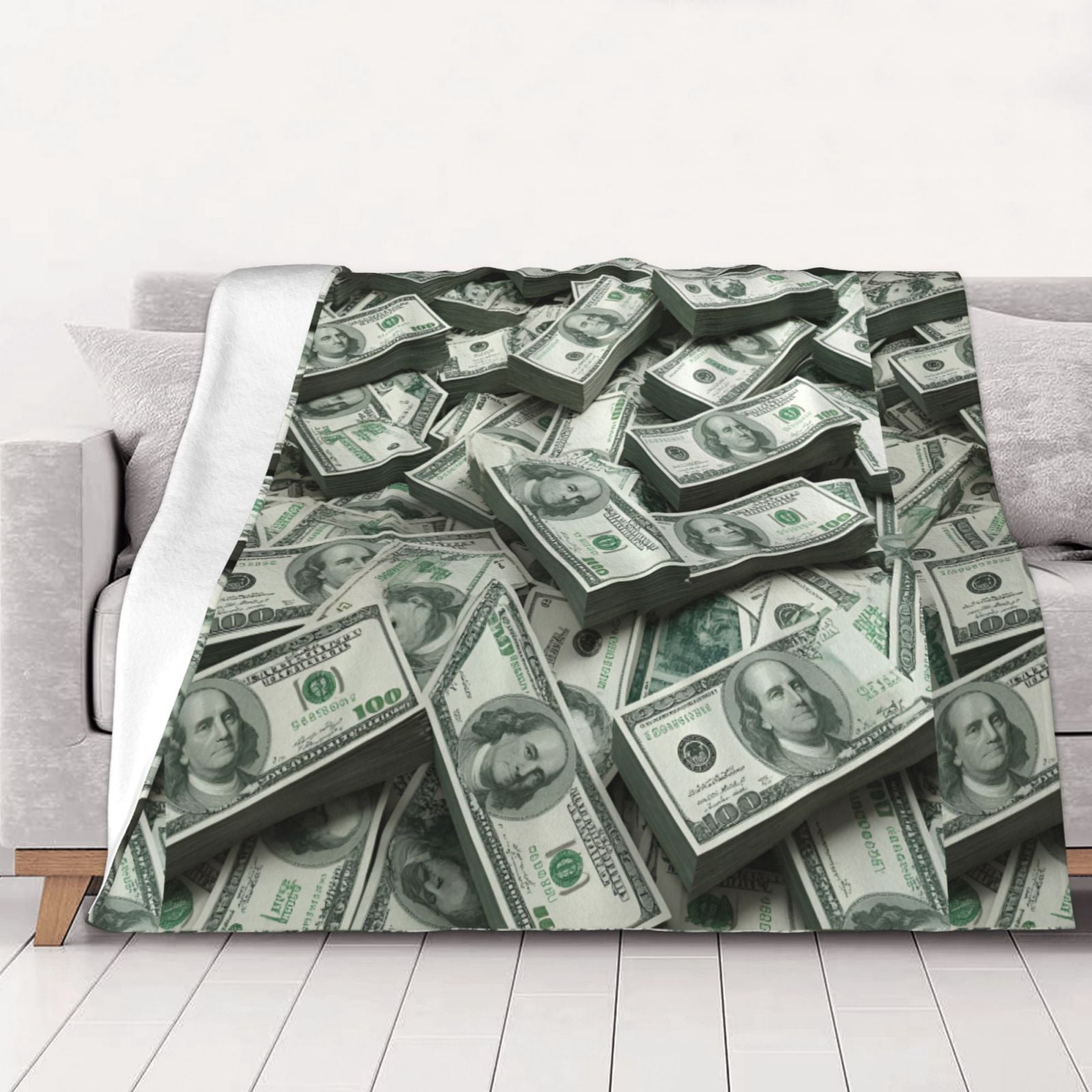 Dollar Money Warm Cozy Plush Throw Blanket for Couch Bed Sofa 50"x40 ...