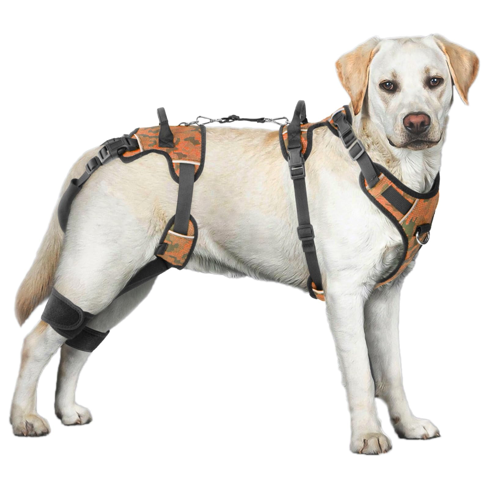 Dollephi Dog Lift Harness, SBF3 Dog Lift Sling Carrier Handle ...