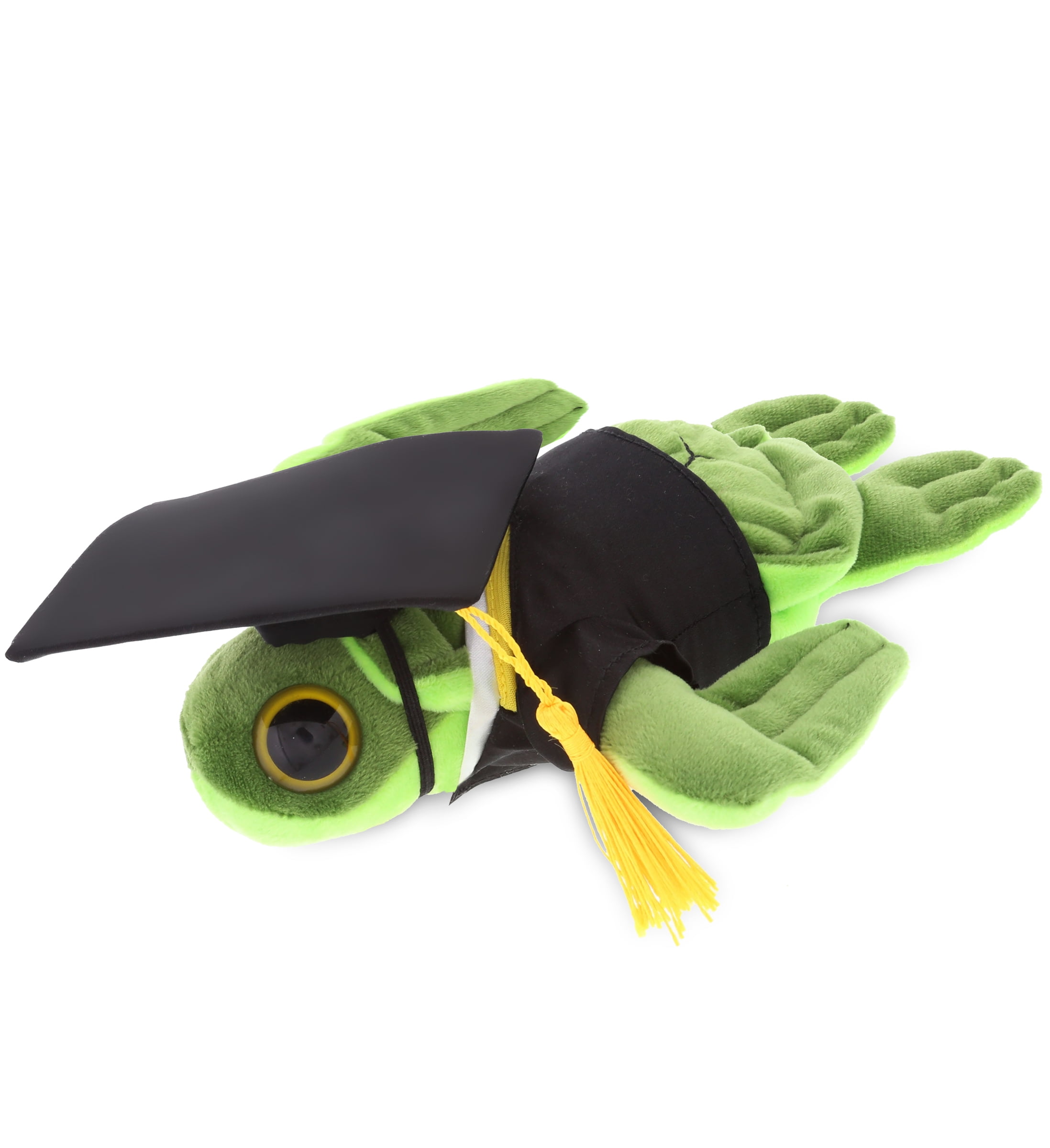 DolliBu Big Eye Sea Turtle Graduation Plush Toy Stuffed Animal ...