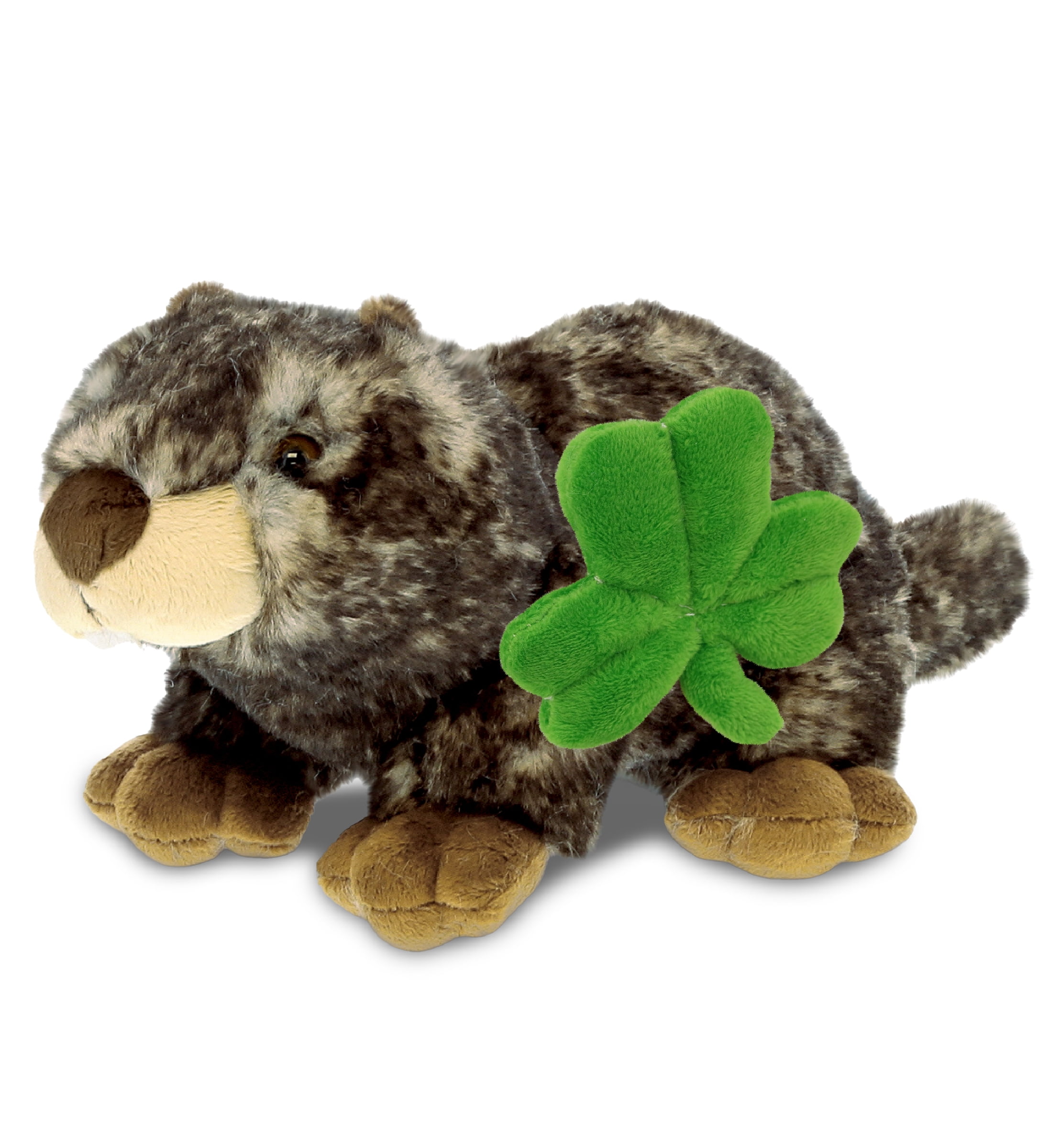 DolliBu Brown Marmot Stuffed Animal with Green Plush Shamrock, Cute ...