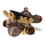 DolliBu Brownish Lying Moose Graduation Plush Toy - Super Soft Moose ...