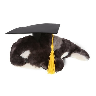 DolliBu Sitting Alligator Graduation Plush Toy - Soft Graduation ...