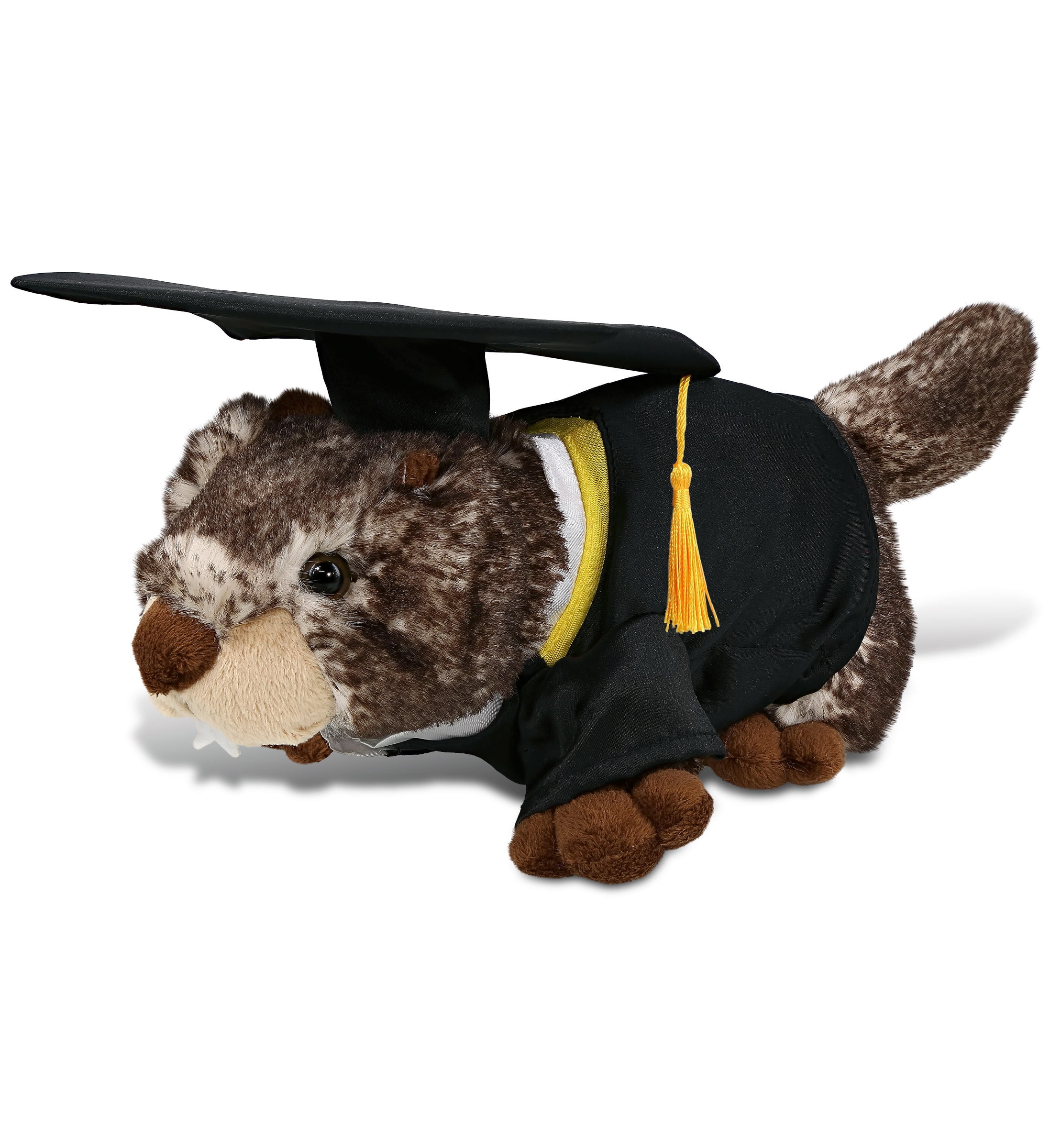 DolliBu Lying Marmot Graduation Plush Toy - Super Soft Marmot ...