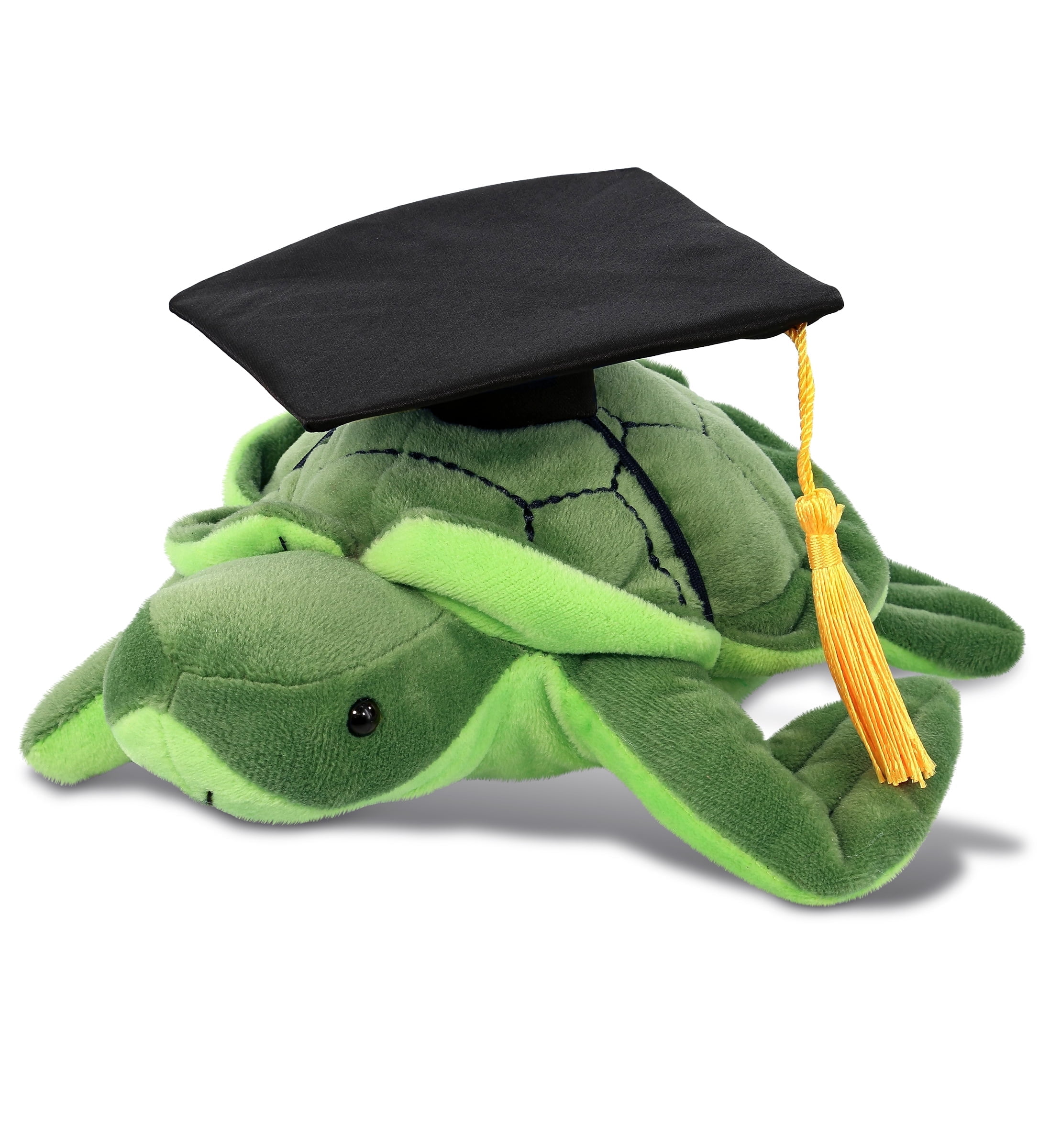 DolliBu Sea Turtle Graduation Plush Toy - Soft Huggable Graduation ...