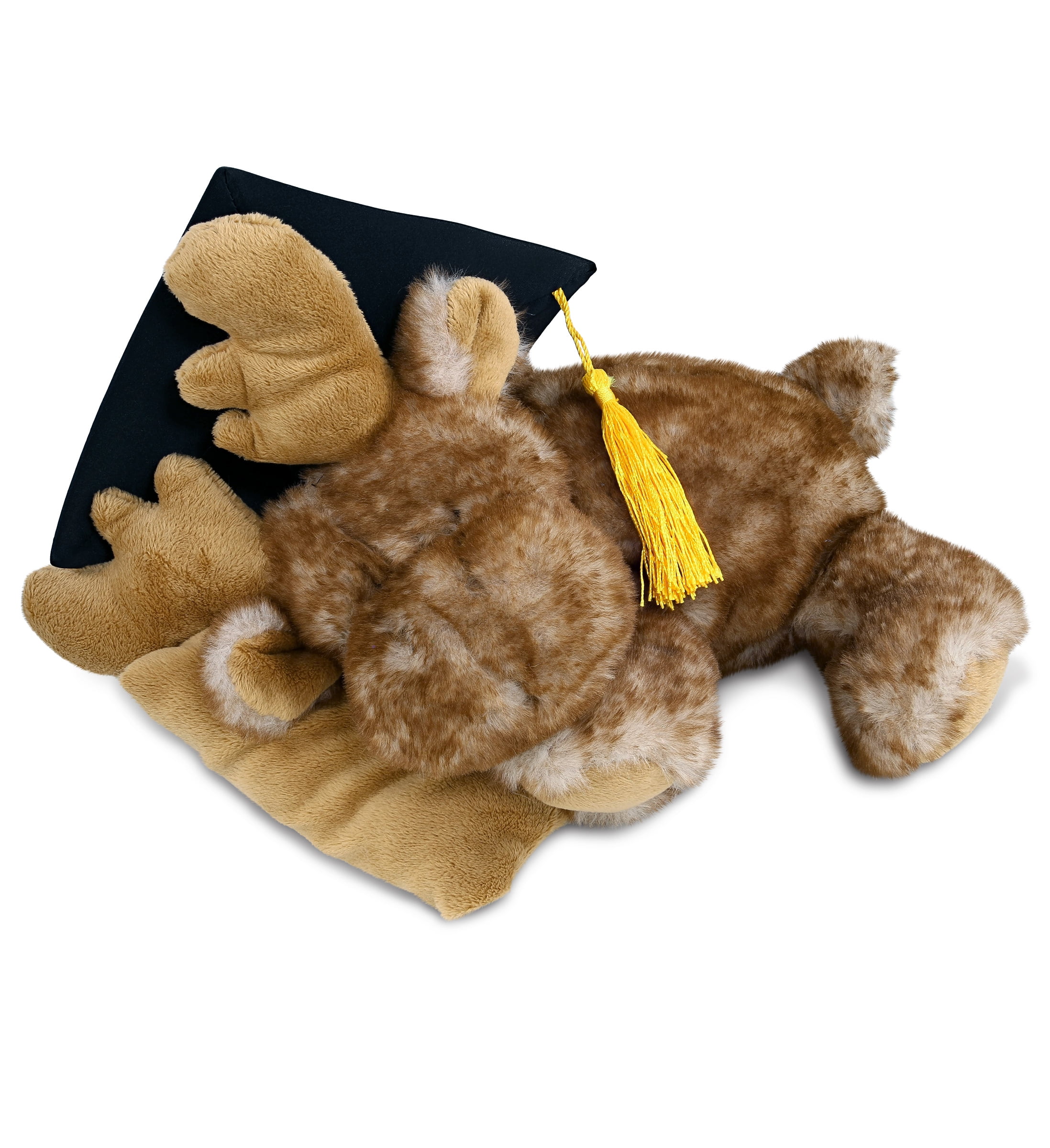 DolliBu Sleeping Moose with Pillow Graduation Plush Toy - Super Soft ...