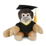 DolliBu Squirrel Monkey Graduation Plush Toy - Soft Huggable Graduation ...
