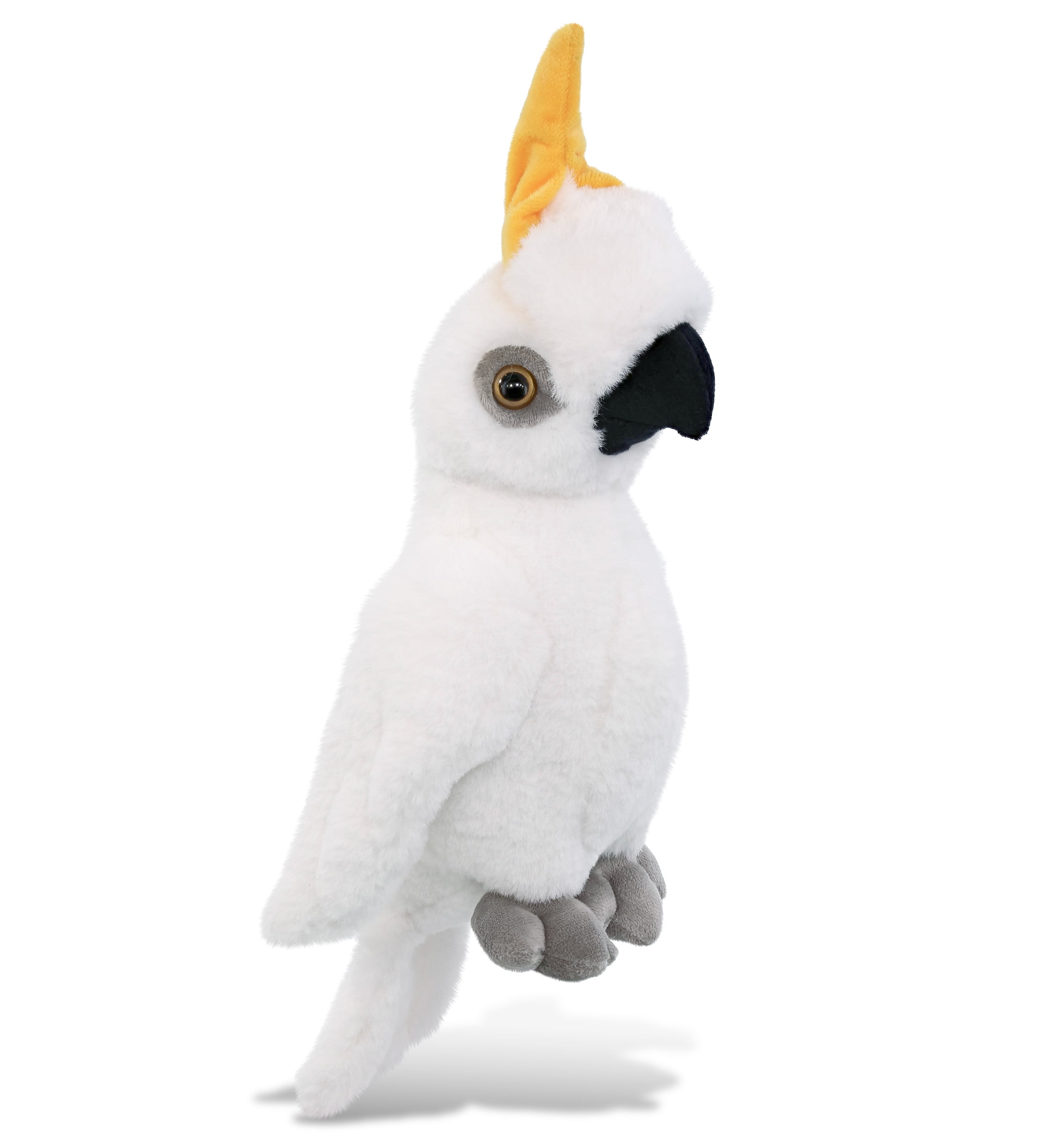 DolliBu White Cockatoo Bird Super Soft Stuffed Animal, Cute Realistic ...