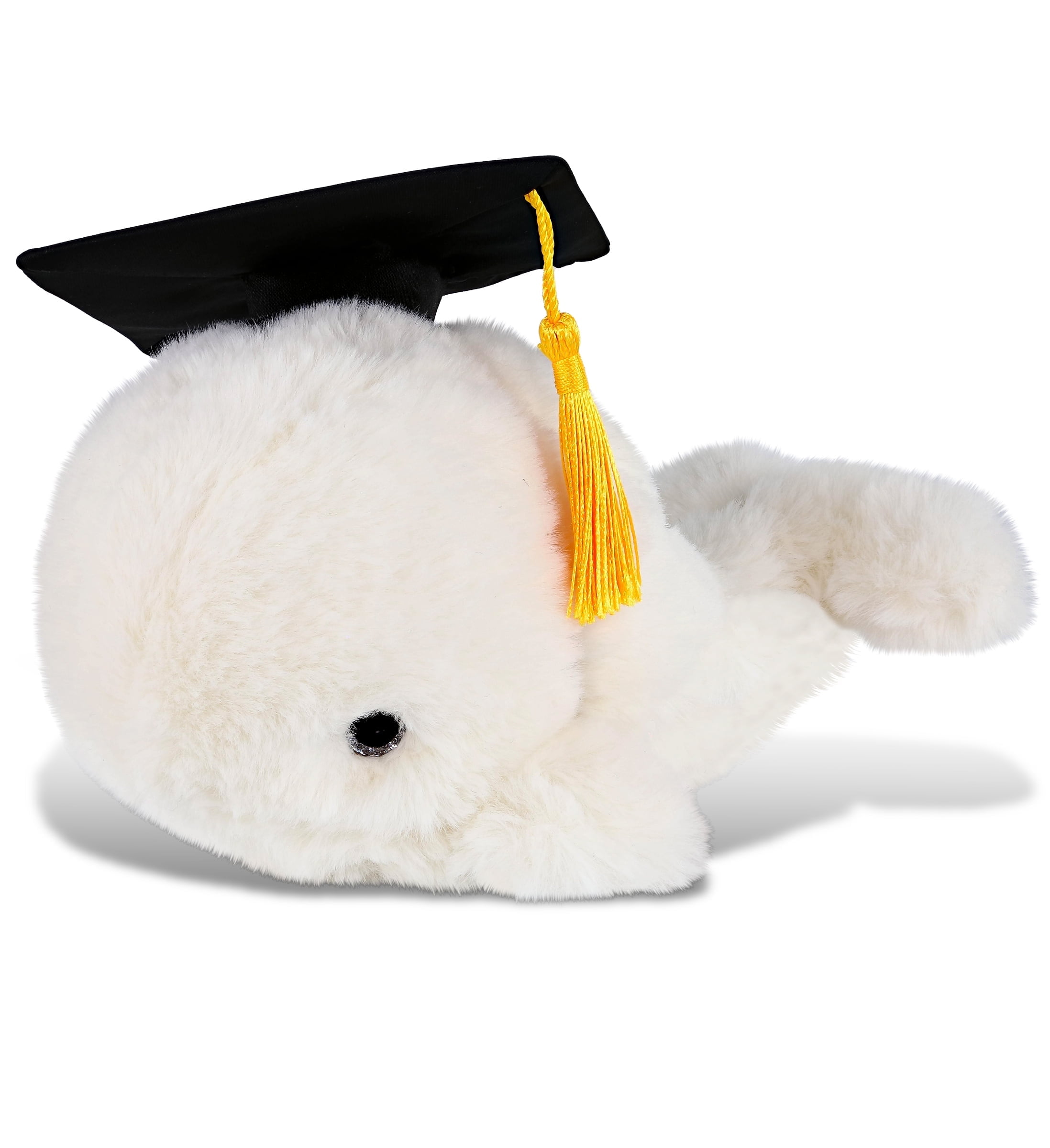DolliBu White Whale Small Graduation Plush Toy - Super Soft Plush ...