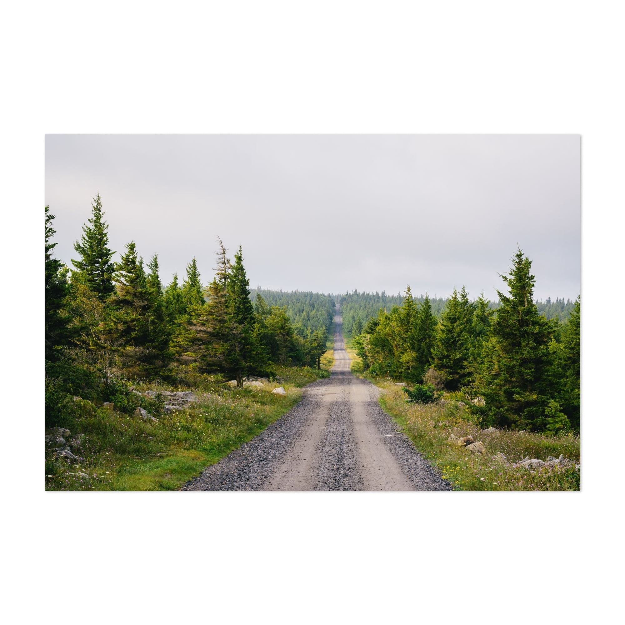 Dolly Sods Wilderness No. 2 - West Virginia Photography Unframed Wall ...