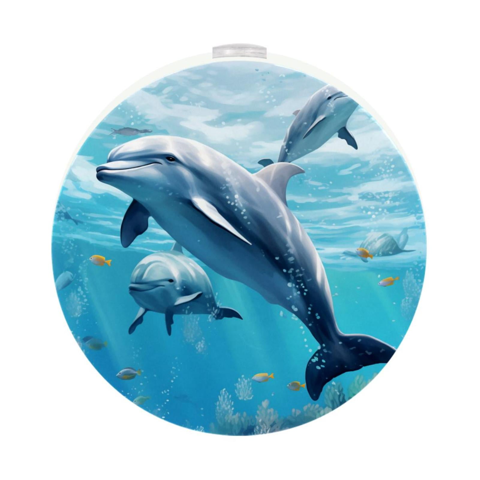 Dolphin Circular Night Light Set - LED Induction Control, Small LED ...