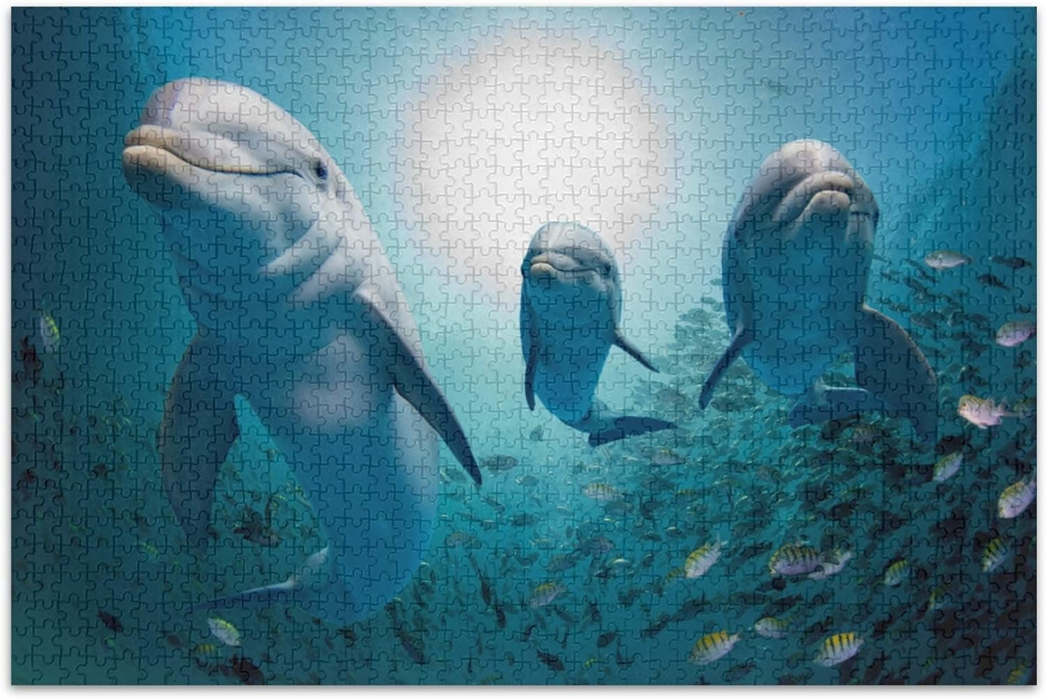 Dolphin Family Swimming on Underwater Jigsaw Puzzle for Adults 300 ...