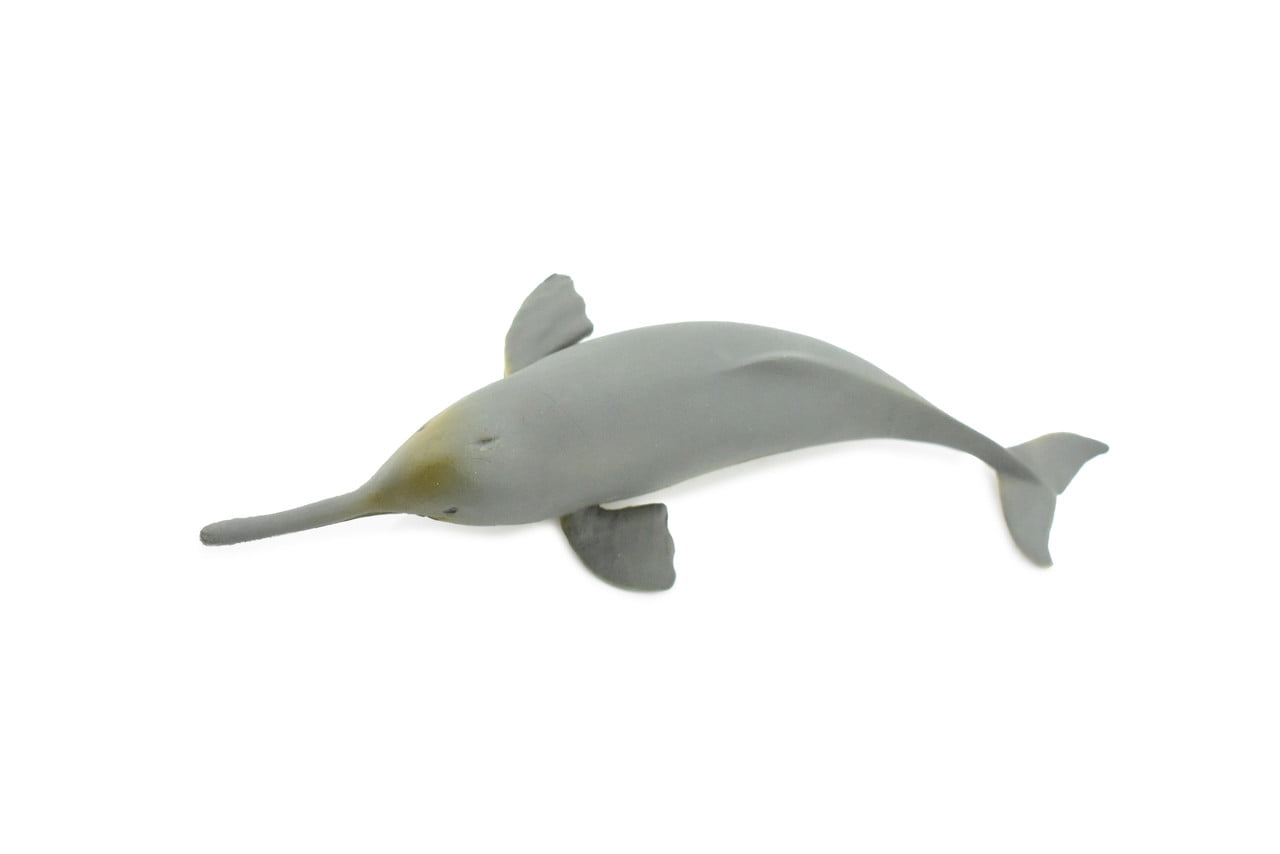 Dolphin, Ganges River Dolphin, Hand Painted, Rubber Marine Mammal ...