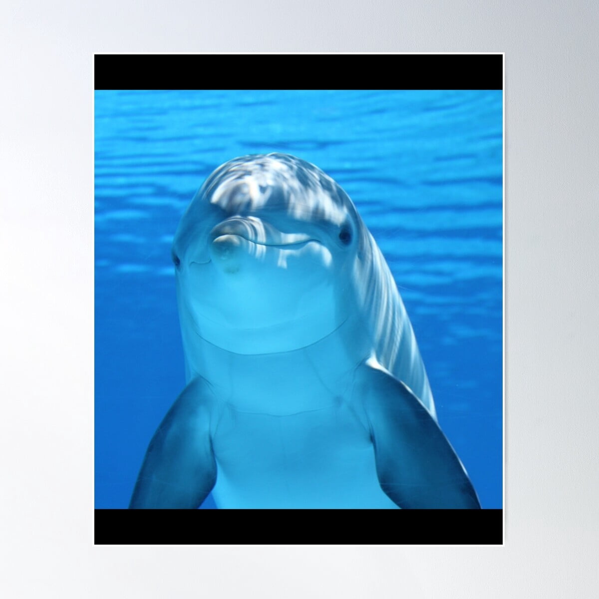 Dolphin In The Ocean Poster Wall Art, Modern Wall Decor For Living Room ...