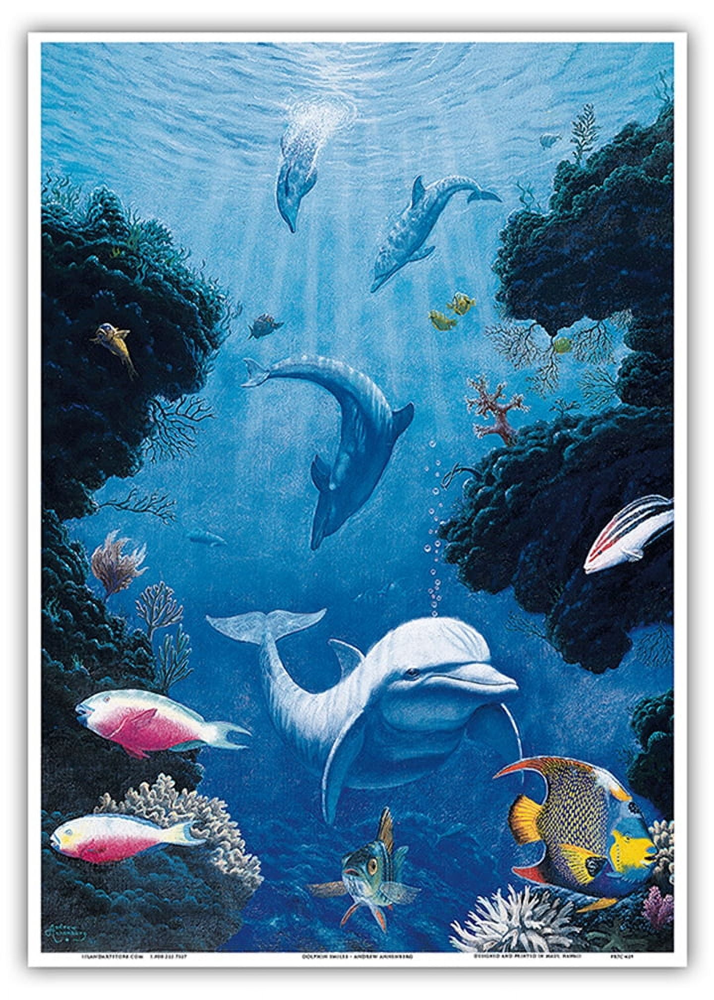 Dolphin Smiles - Hawaiian Dolphins (Nai’a) - From an Original Color ...
