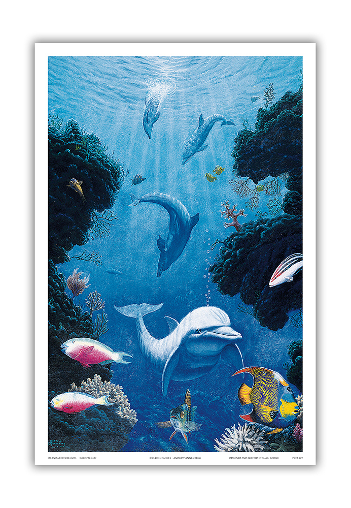 Dolphin Smiles - Hawaiian Dolphins (Nai’a) - From an Original Color ...