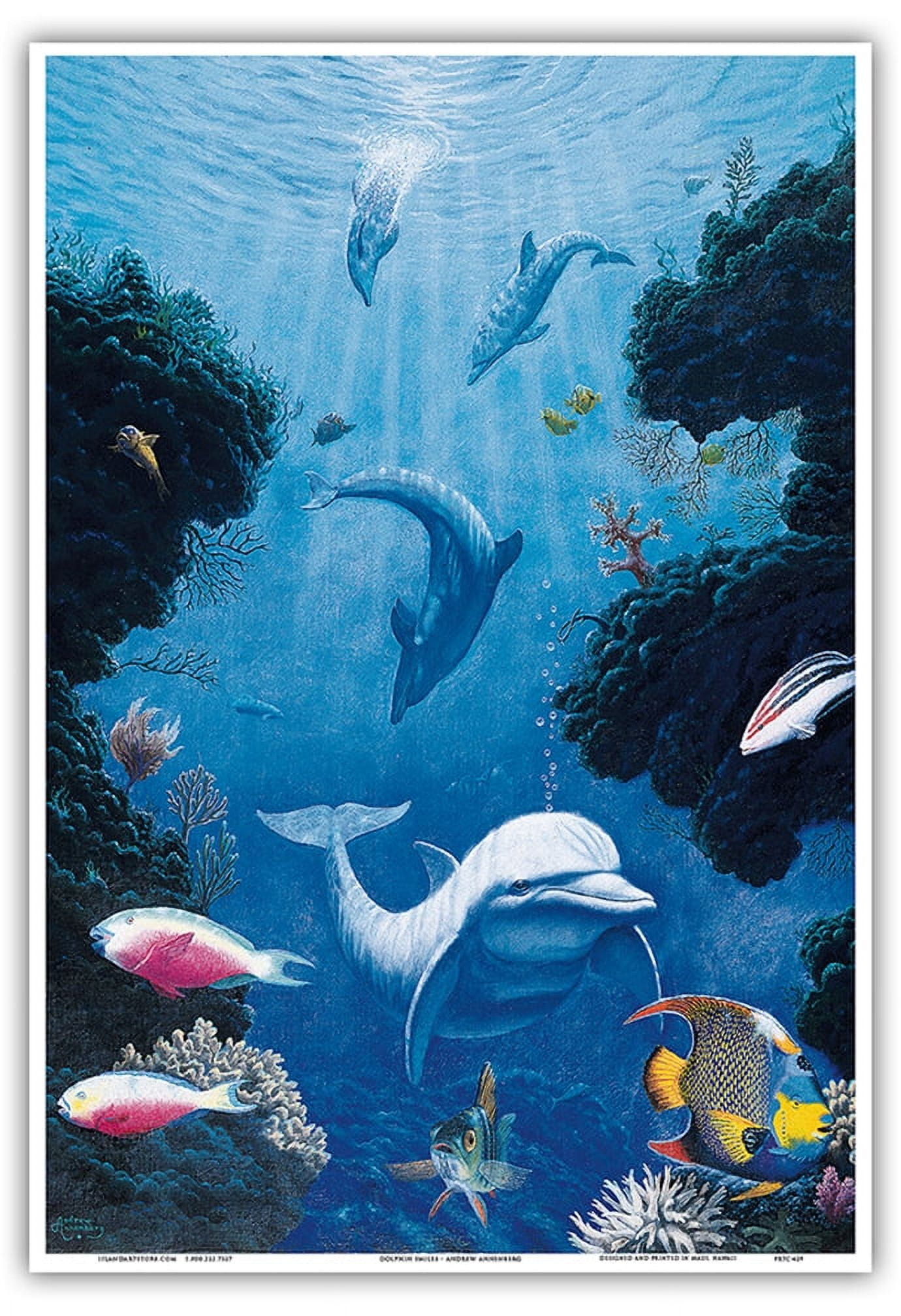 Dolphin Smiles - Hawaiian Dolphins (Nai’a) - From an Original Color ...