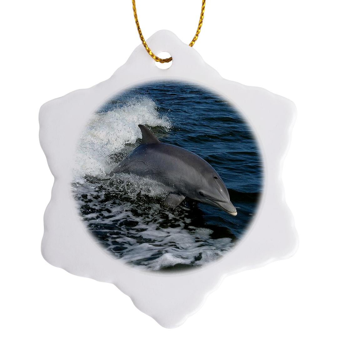 3drose, Dolphin Splash - Animal, Blue, Cute, Dolphin, Dolphins, Fish ...