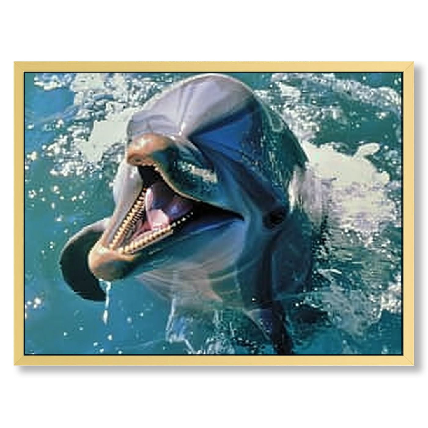 Dolphin Underwater Ocean Animal Wall Decor Art Print Poster - Walmart.com