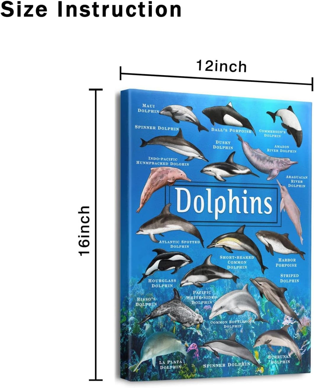 Dolphin Wall Art Wall Decor for Living Room Home - Walmart.com