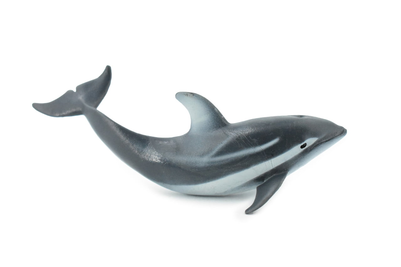 Dolphin, White Sided, Hand Painted, Rubber Marine Mammal, Realistic Toy ...