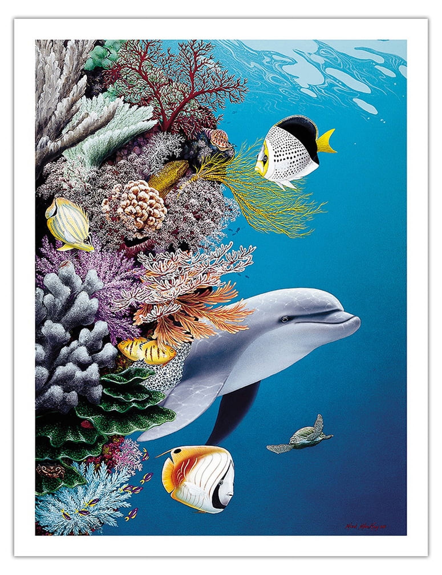 Dolphin’s Reef - Gray’s Hawaiian Spinner Dolphin (Naiʻa) - From an ...