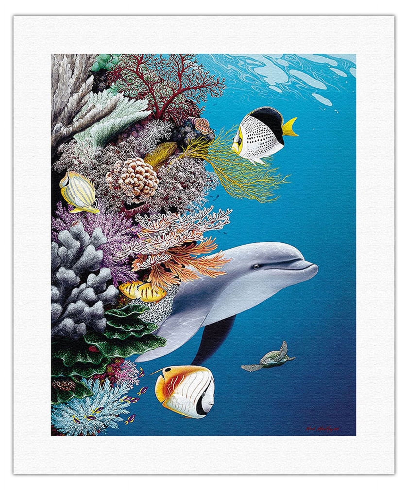 Dolphin’s Reef - Gray’s Hawaiian Spinner Dolphin (Naiʻa) - From an ...