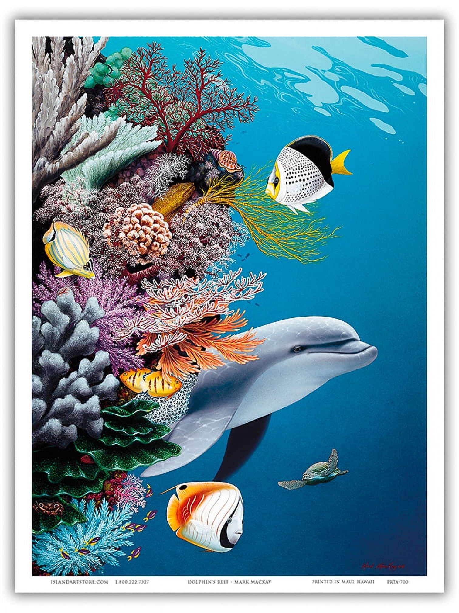 Dolphin’s Reef - Gray’s Hawaiian Spinner Dolphin (Naiʻa) - From an ...