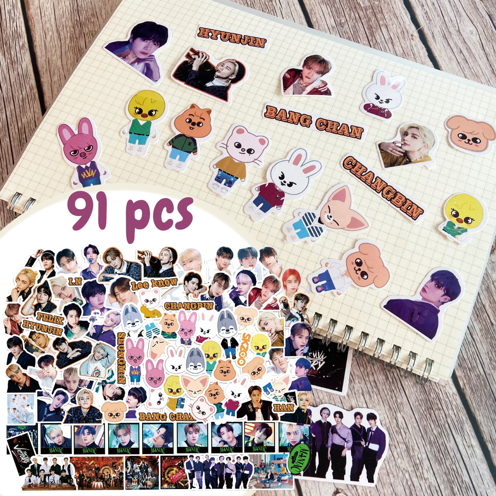 Dolzyy 91 PCS Stray Kids SKZ Stickers - Stray Kids SKZ Vinyl Waterproof ...