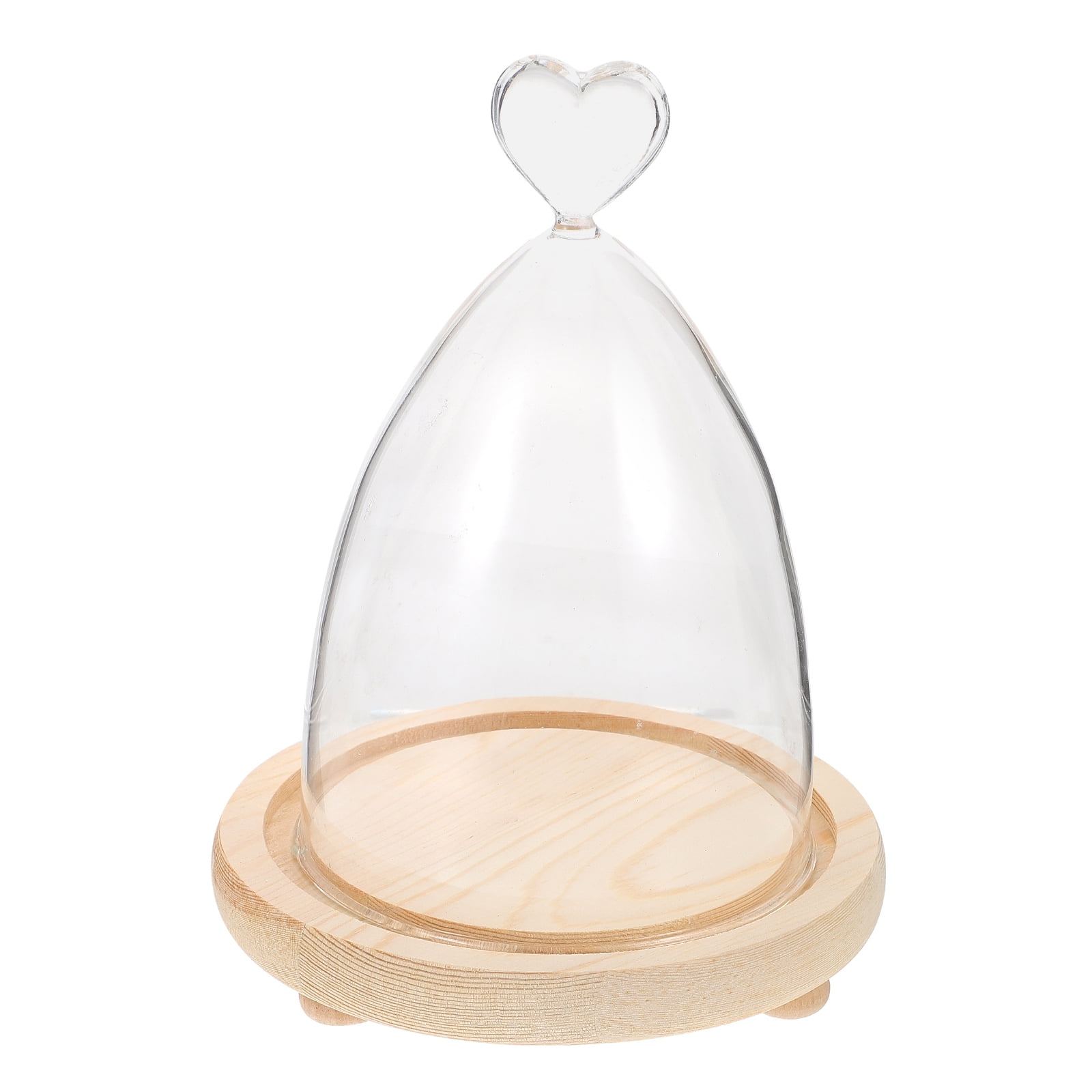 Dome Display Case Pedestal Preserved Flower Glass Cover Decorative ...