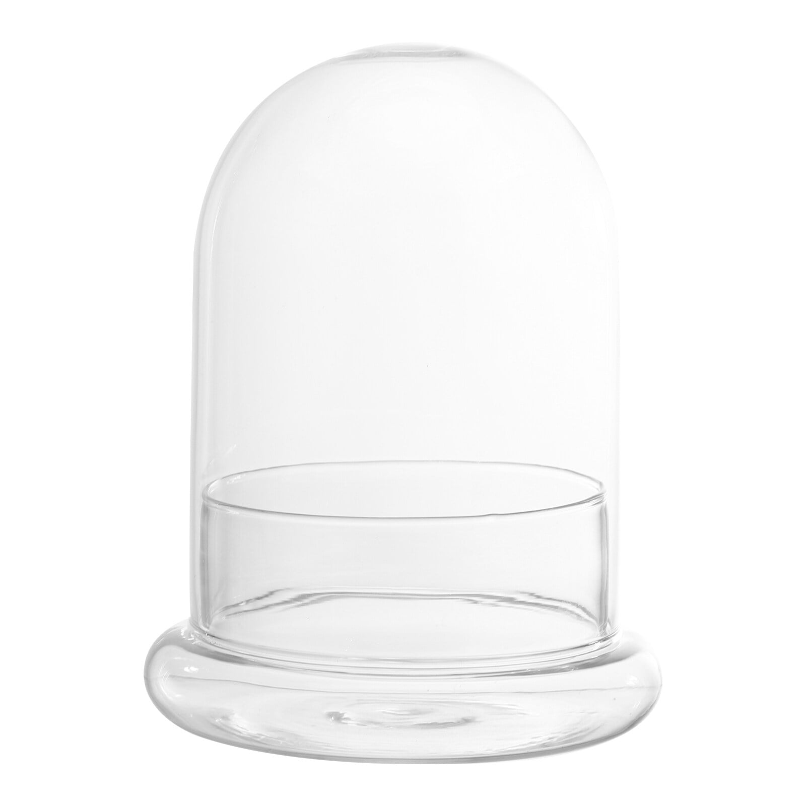 Customer reviews for Dome Glass Terrarium Cloche Bell Display Plant ...