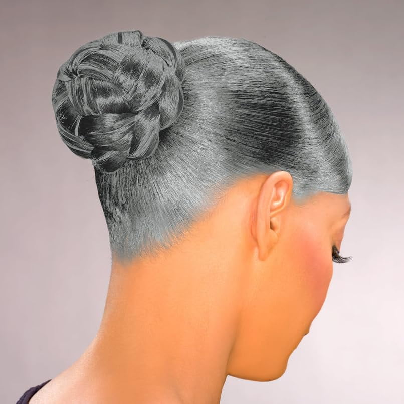 Dome T Formal Bun Color 51 Light Gray - Foxy Silver Wigs Wider Braid ...