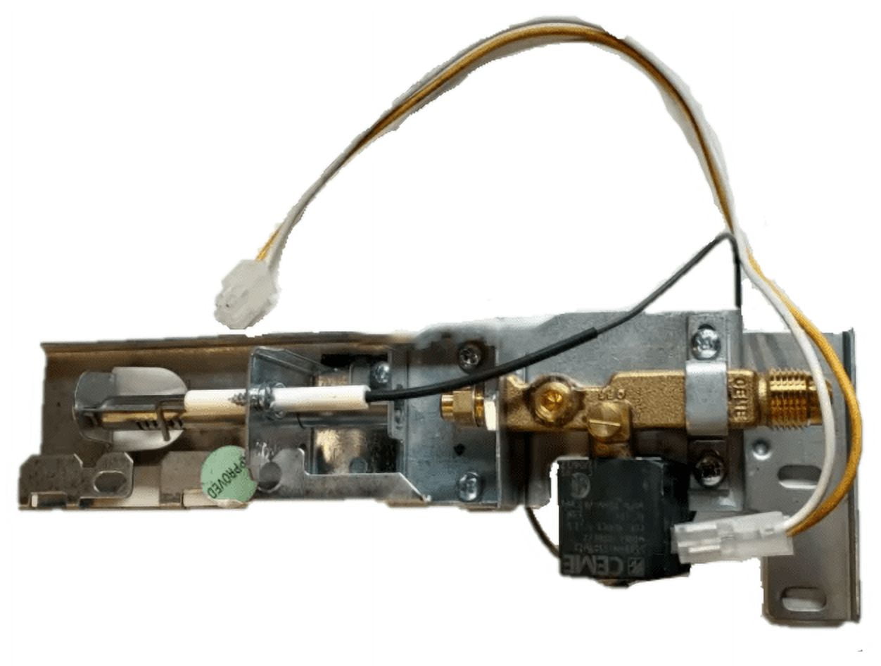 Dometic Complete Gas Valve Burner Assembly 3850730395 for Auto Ignition ...