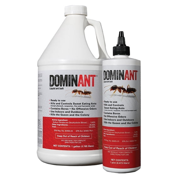 DominAnt Liquid Ant Bait 16 oz - Walmart.com