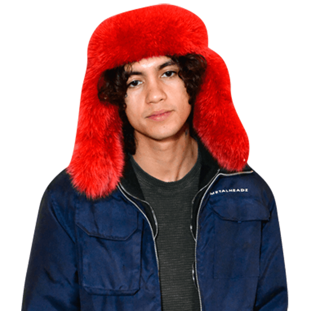 Dominic Fike (Casual) Half Body Buddy Cutout - Walmart.com