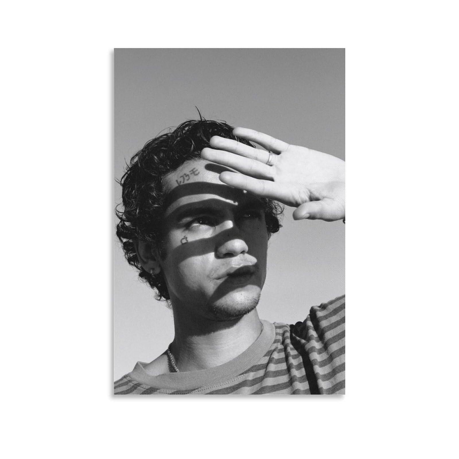 Dominic Fike Poster 19 Posters Art Print Wall Photo Paint Poster ...