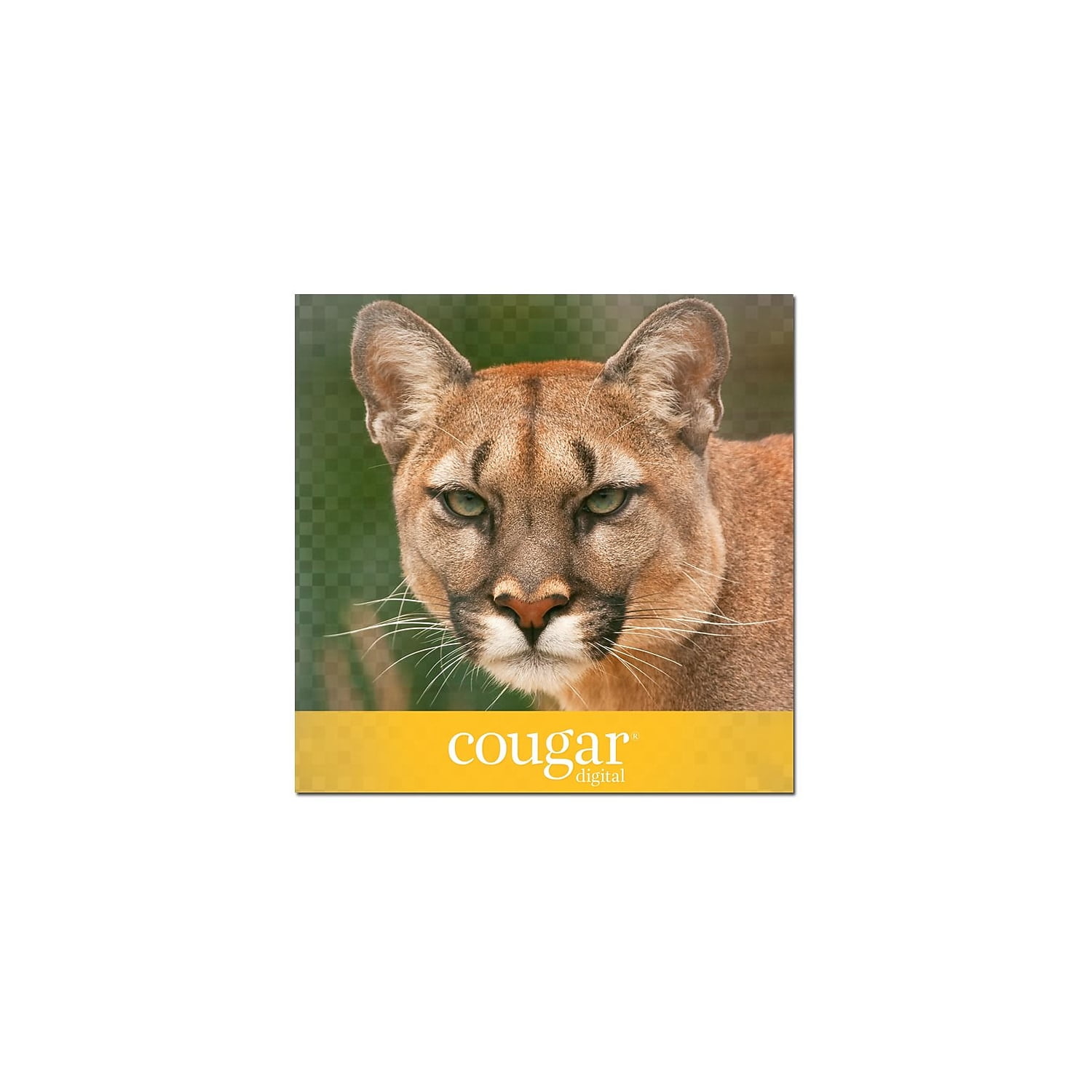 Domtar Cougar Paper | Educational sheets - Walmart Business Supplies