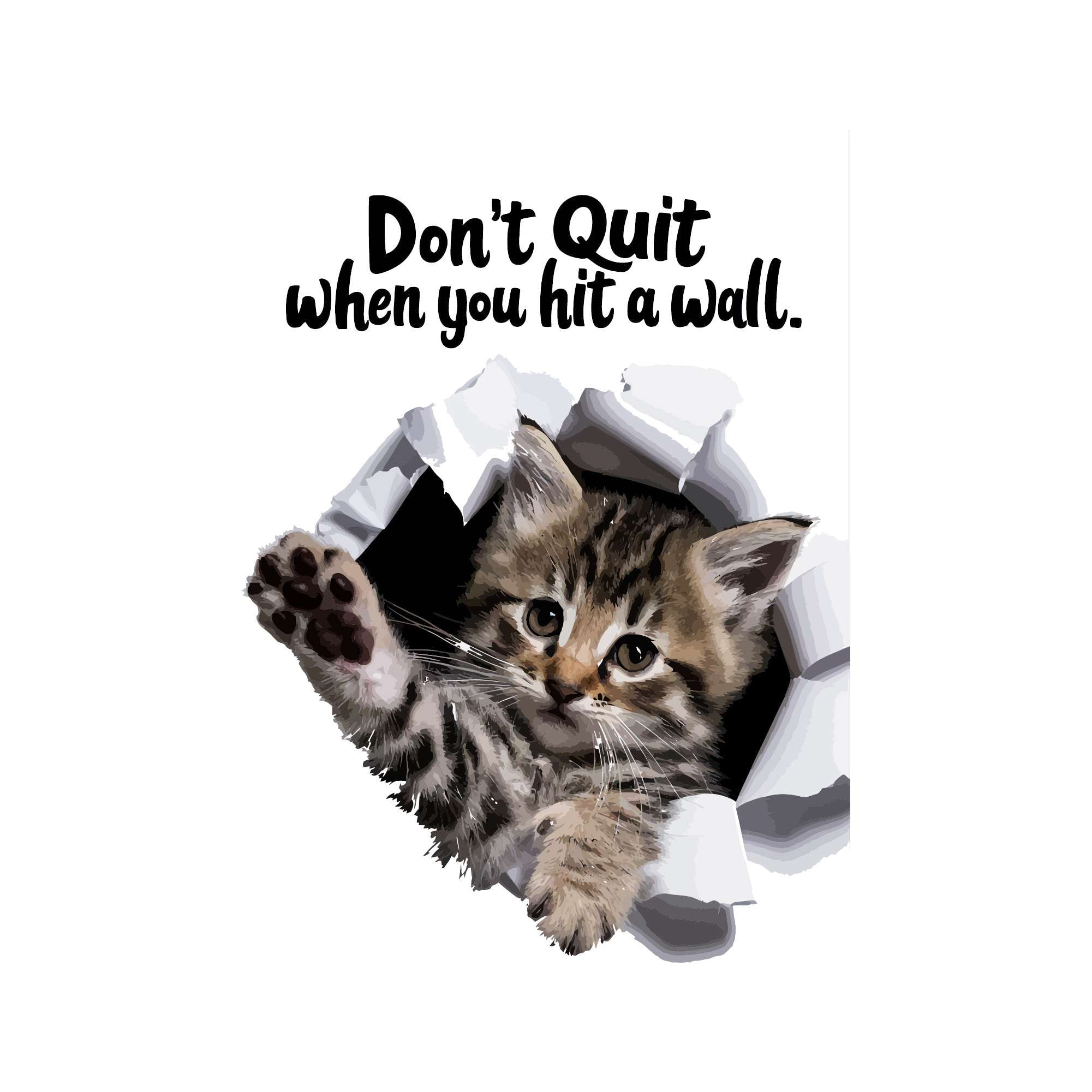 Don'T Quit When You Hit A Wall Cute kitten breaking through the wall ...