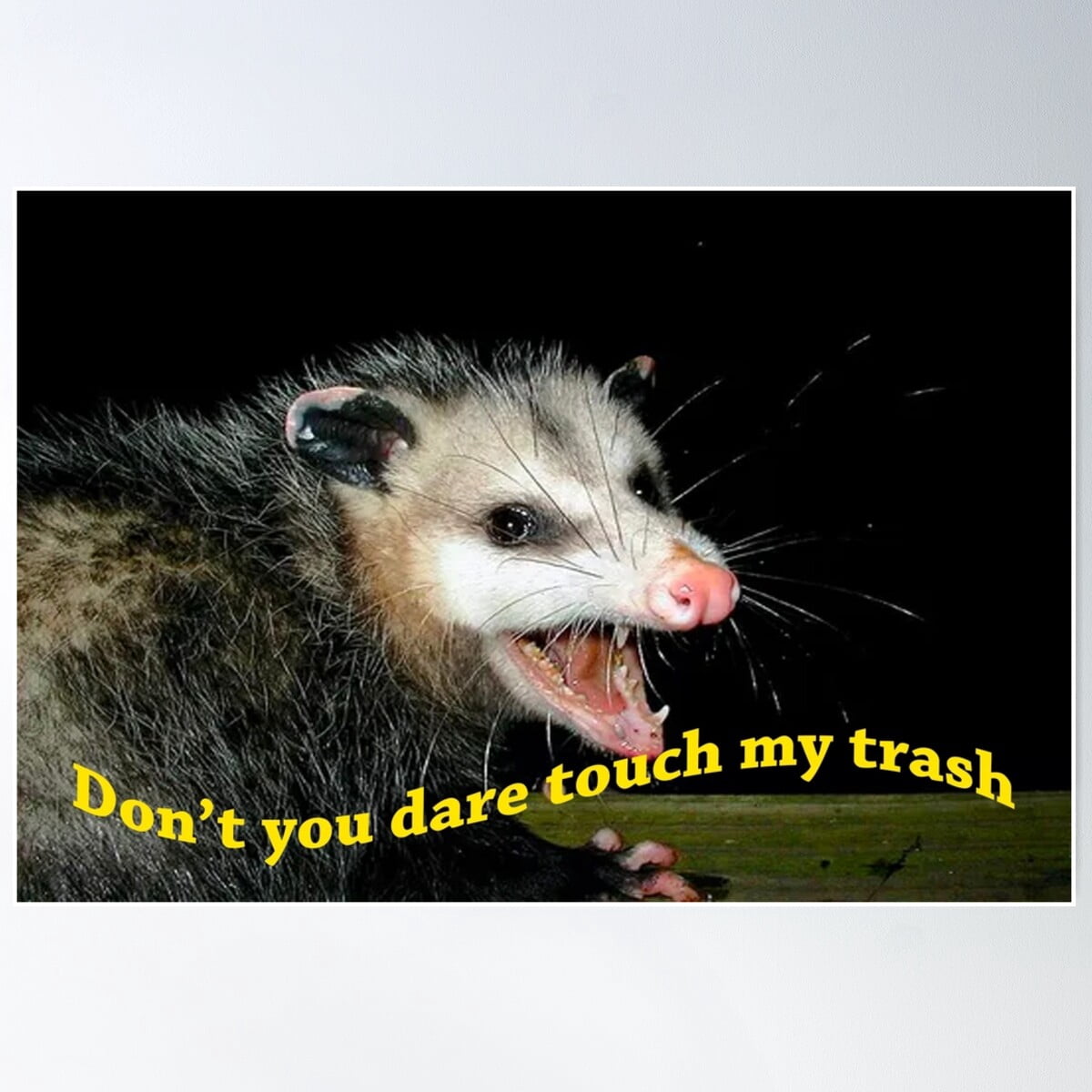 Don'T Touch My Trash Opossum Meme Poster Wall Art, Modern Wall Decor ...