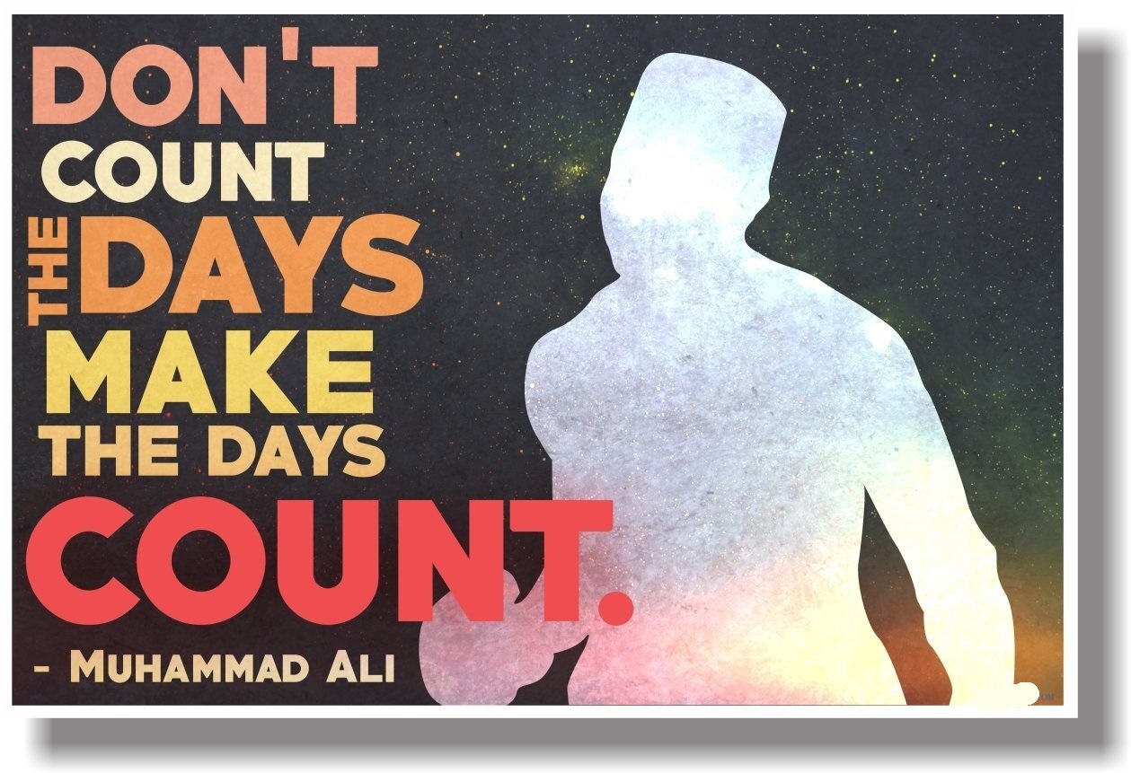 Don't Count The Days Make The Days Count - NEW Motivational Poster ...