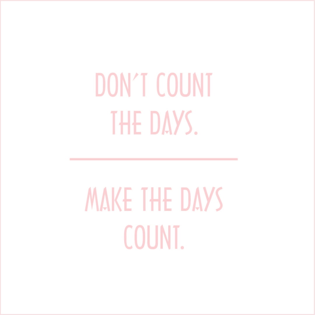 Don't Count the Days, Make the Days Count Vinyl Quote - Small - Blush ...